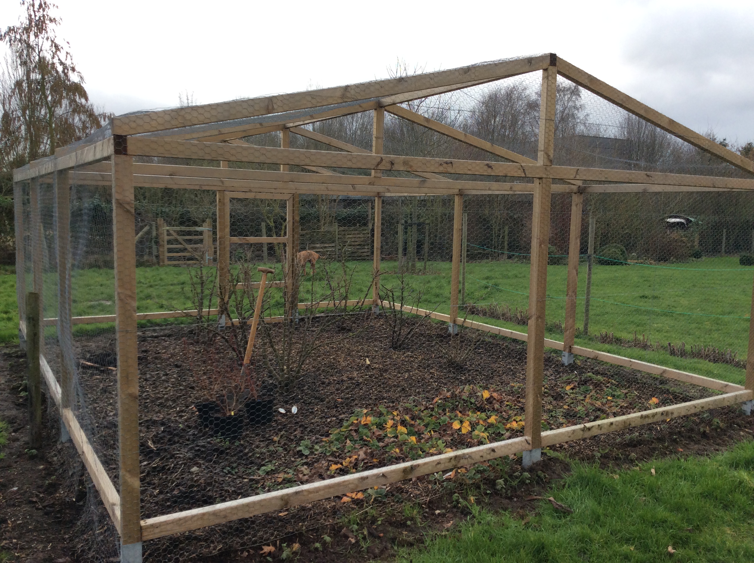 De fruitkooi. – groengenot